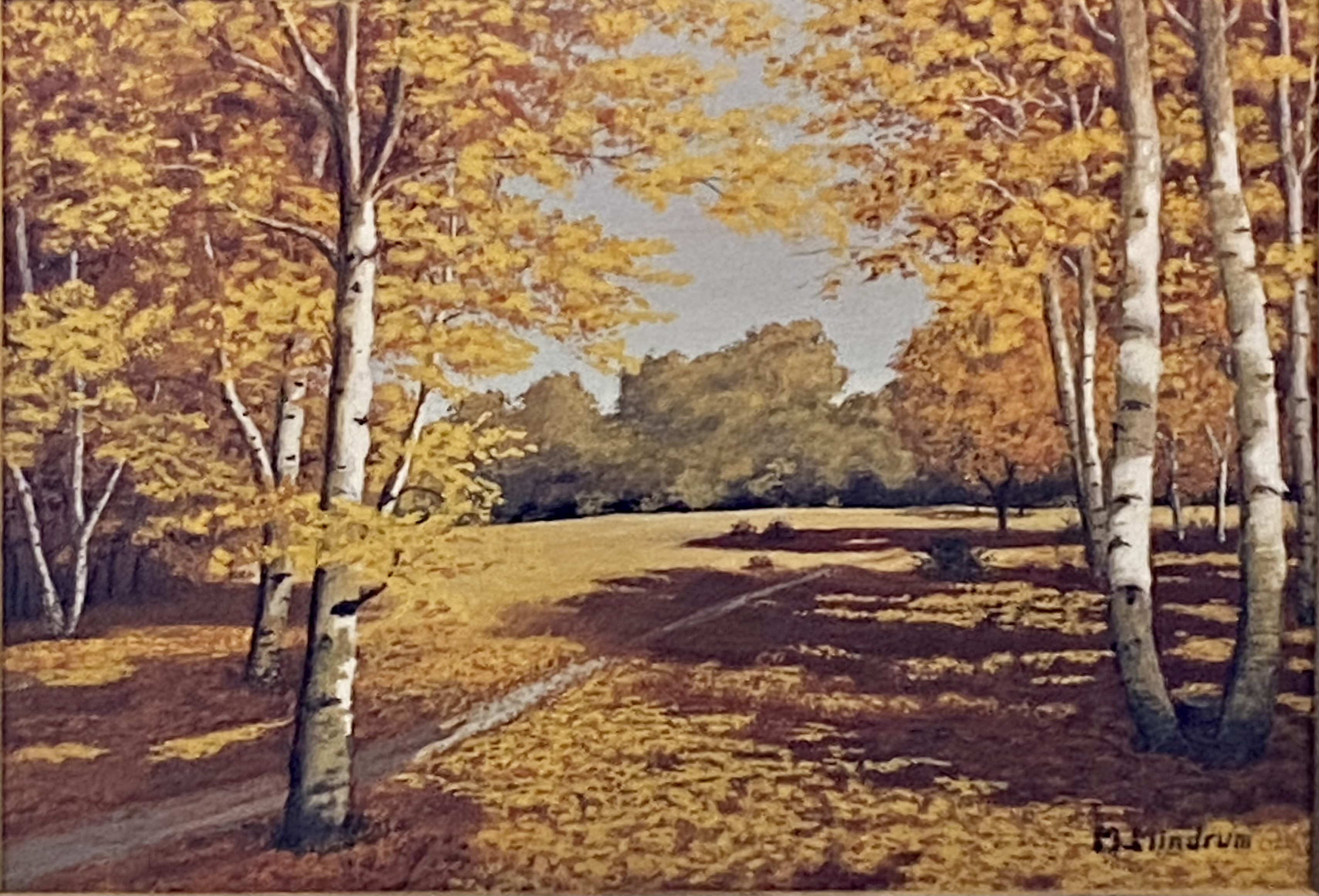 Shadows on Roads | Margit Mindrum