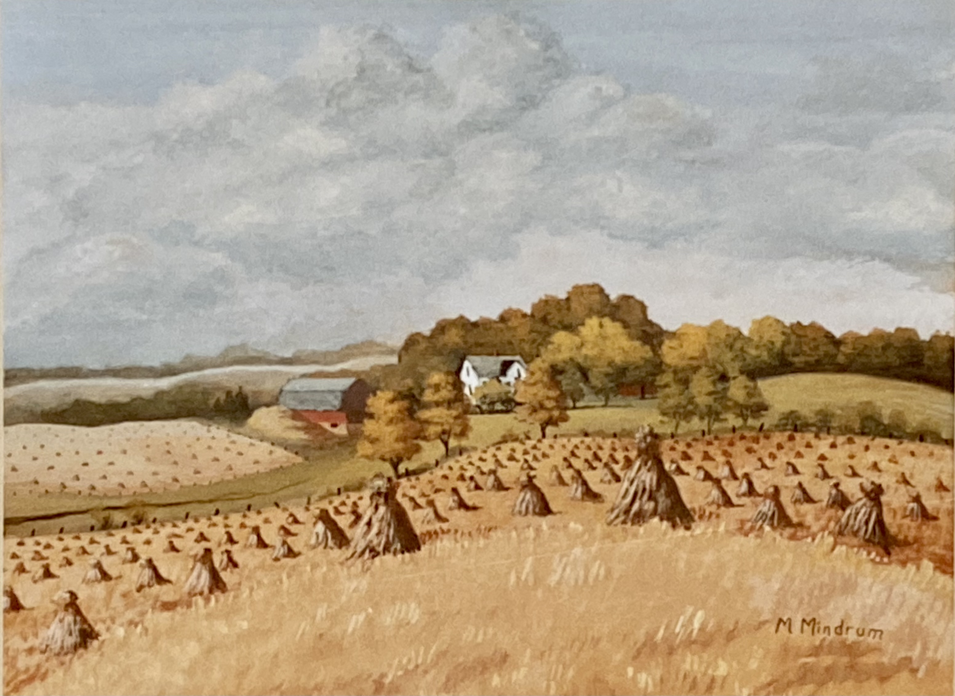 Fall cornshocks | Margit Mindrum